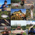 Maxcatch Fly Rod Review | A Personal Observation