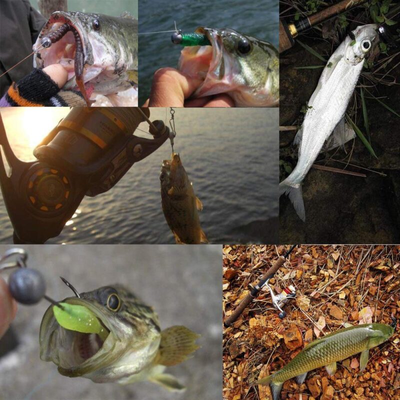 Ultimate Guide to Catfishing Hooks Part Of Your Tackle Box - TheFishingDeck