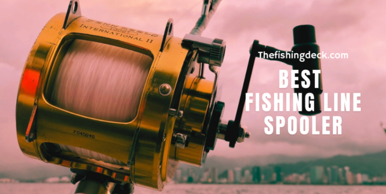 Best Fishing Line Spoolers: For Smooth And Tangle Free Fishing